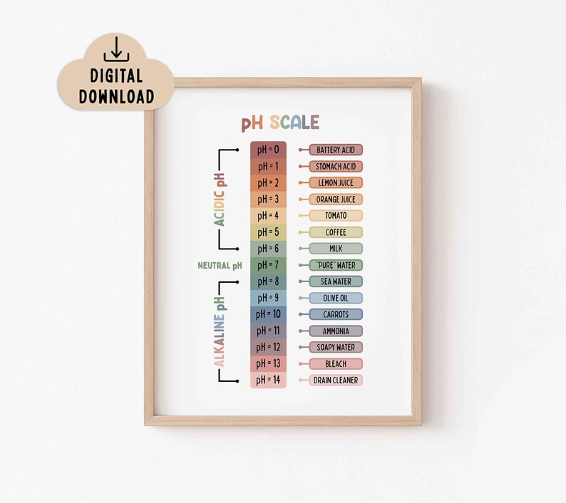 Ph Scale Educational Poster Printable (digital Download) Educational ...