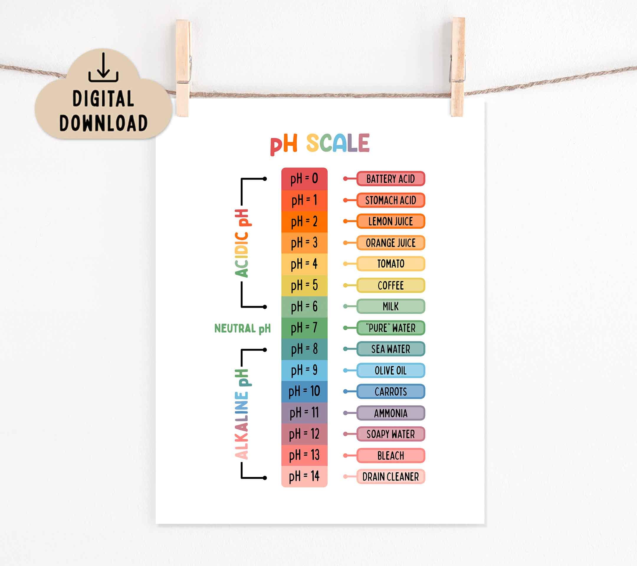 Ph Scale Educational Poster Printable, BRIGHT Colors (digital Download ...