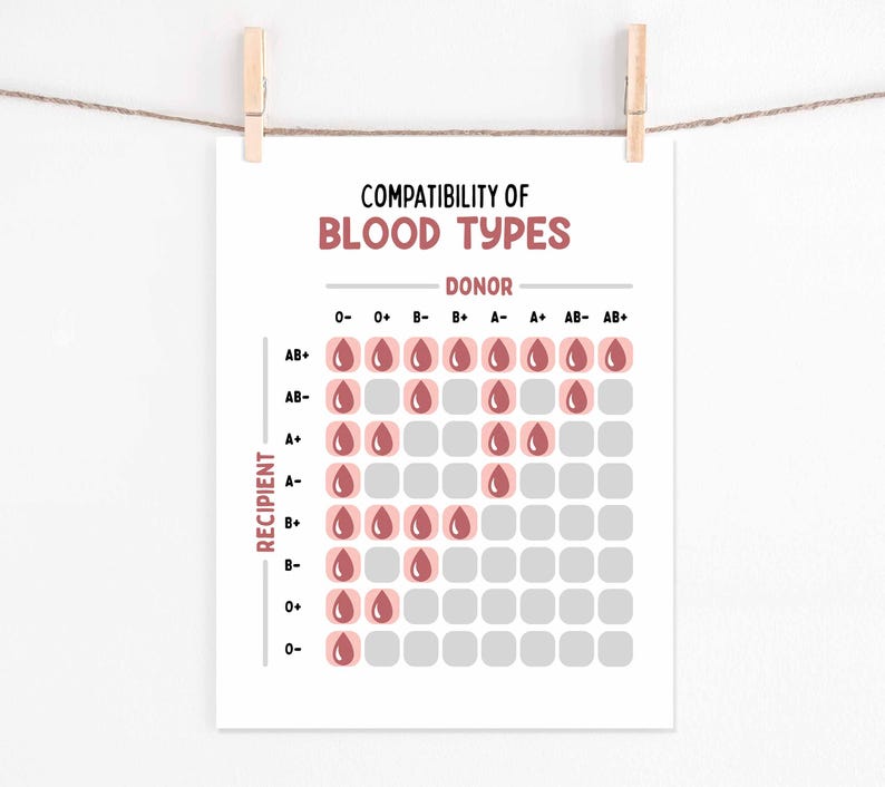 Blood Types Chart Poster | Classroom | Medical Print | Educational Wall ...