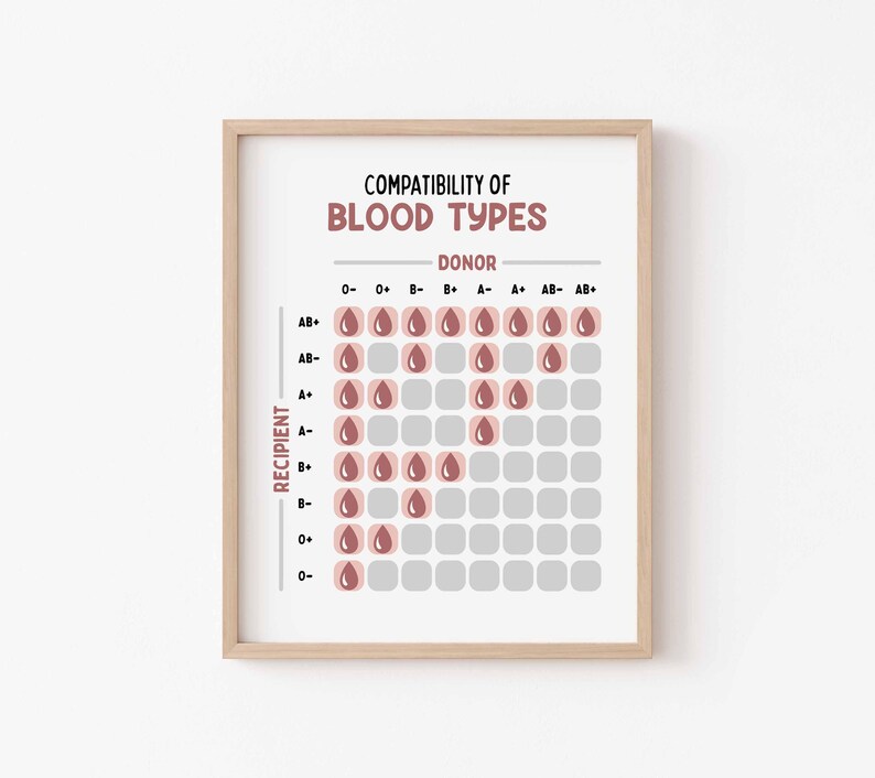 Blood Types Chart Poster | Classroom | Medical Print | Educational Wall ...