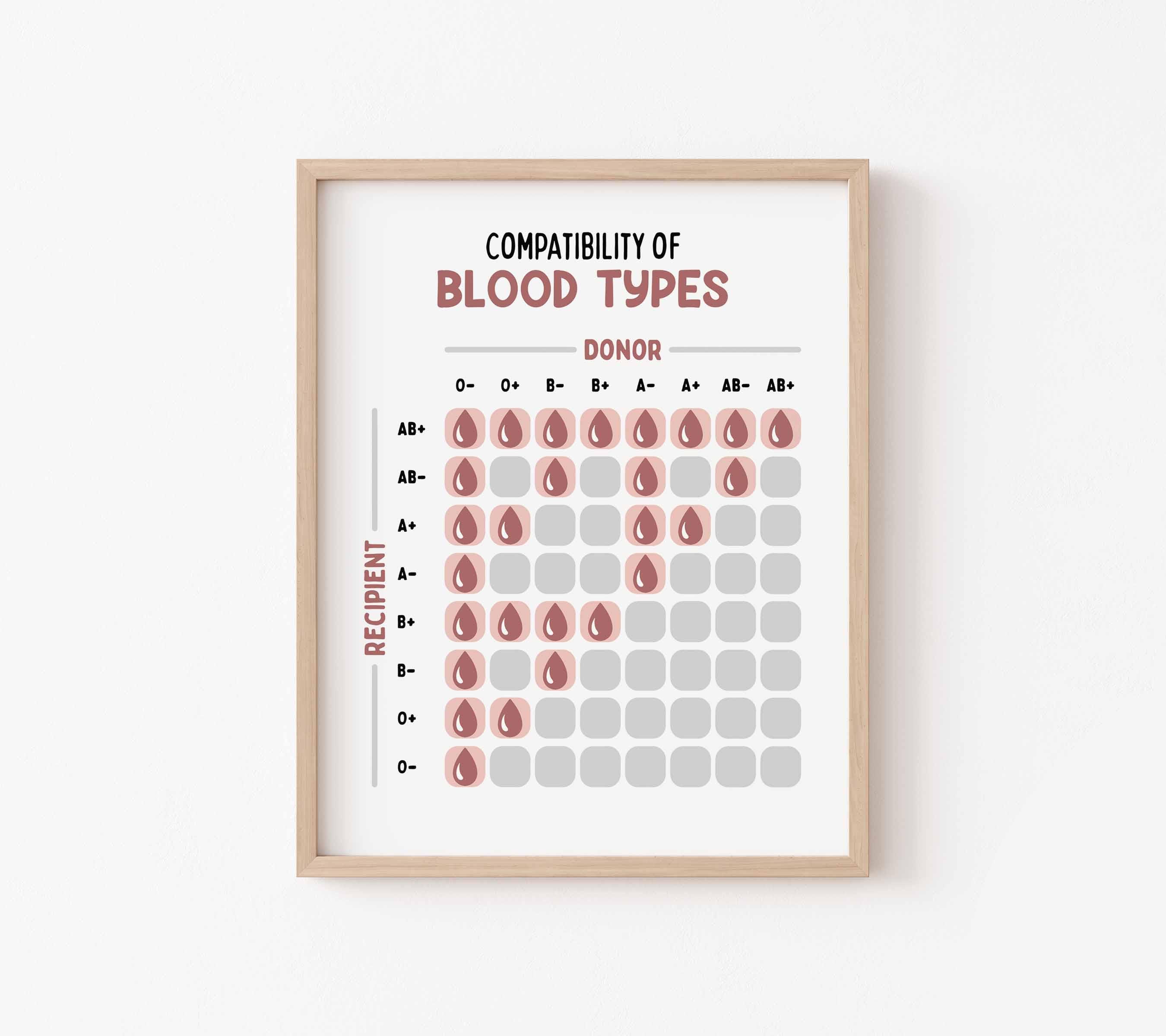 Blood Types Chart Poster | Classroom | Medical Print | Educational Wall ...