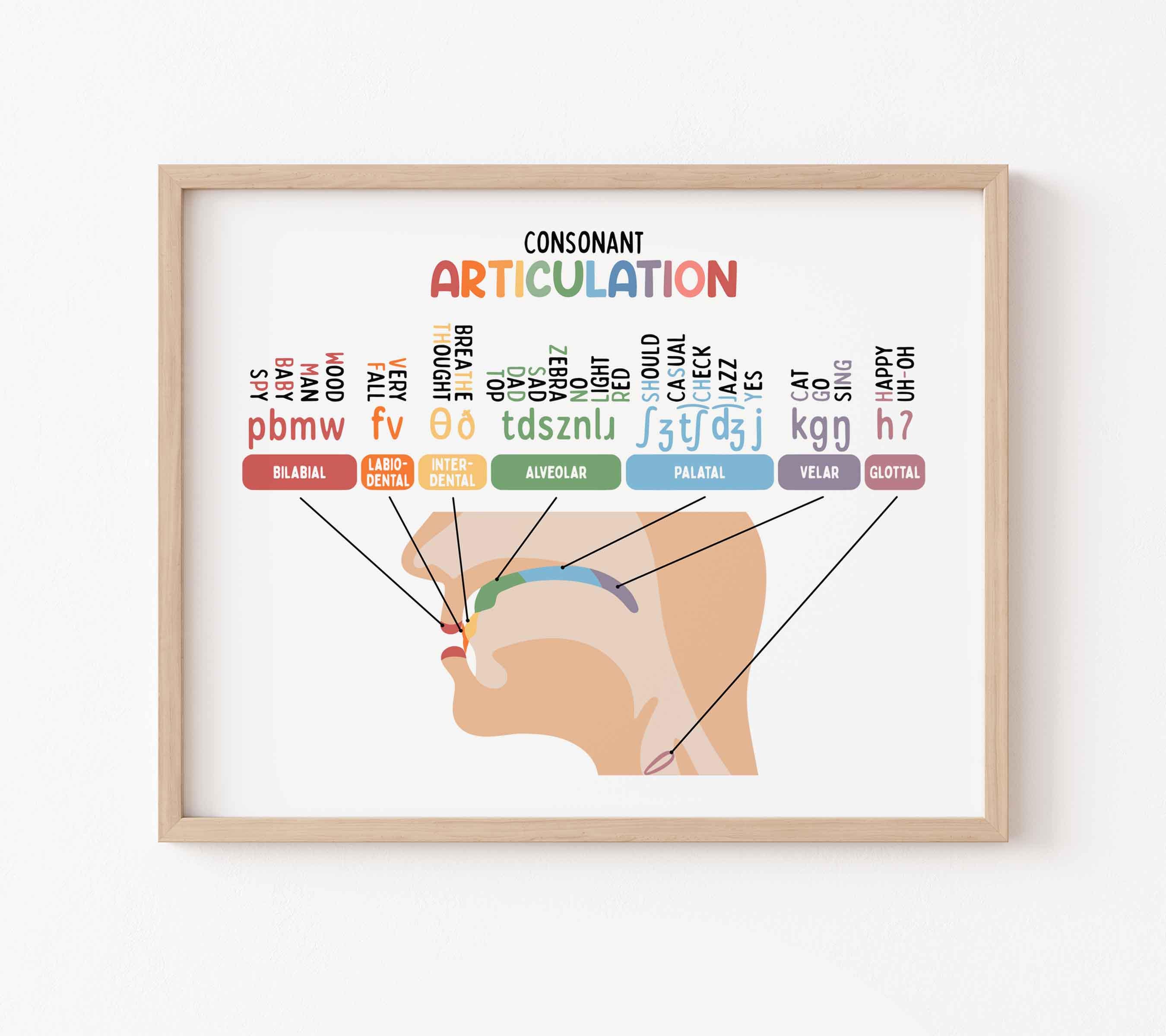 Consonant Articulation Poster Printable, BRIGHT Colors (digital ...