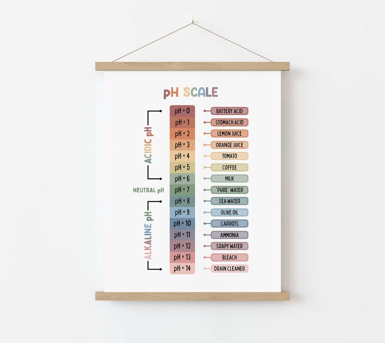 Ph Scale Educational Poster | Homeschool Wall Art | Medical Print ...