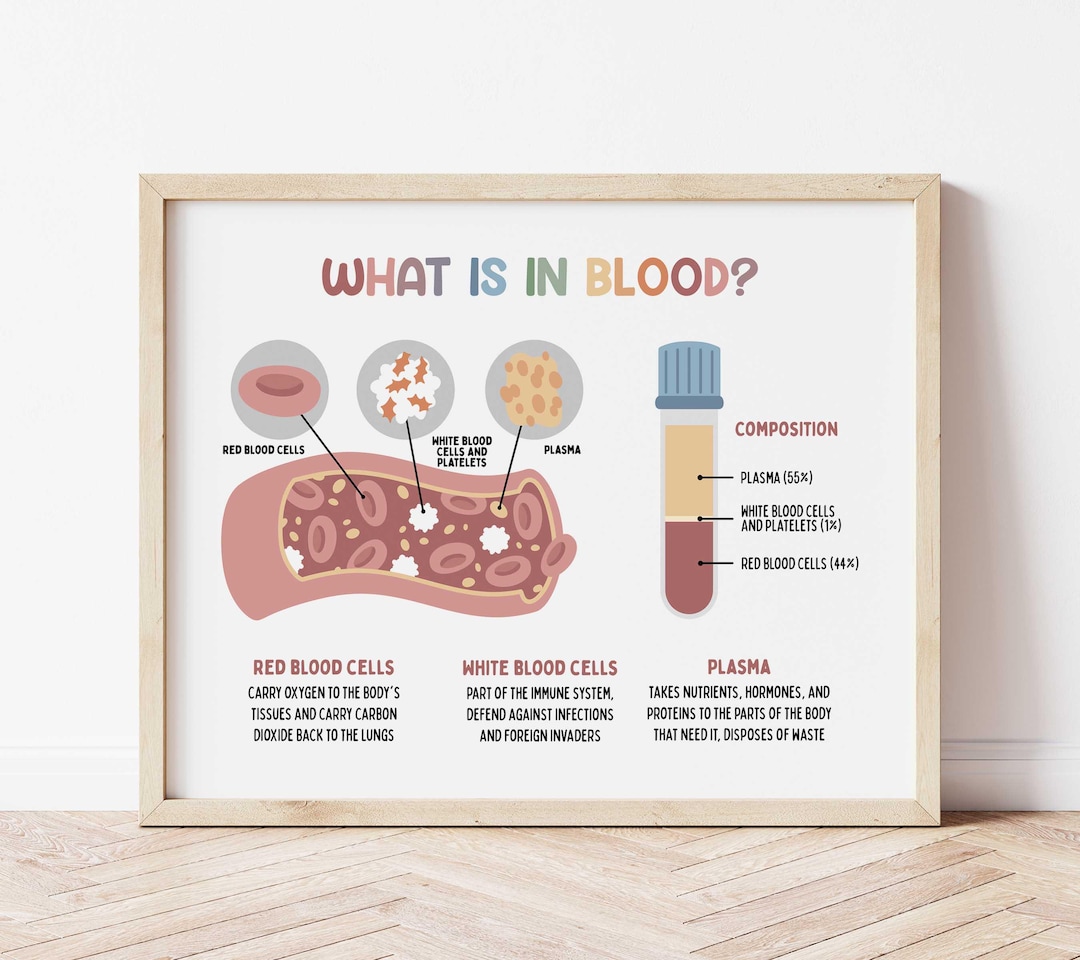 What's in Blood Poster | Classroom | Medical Print | Educational Wall ...