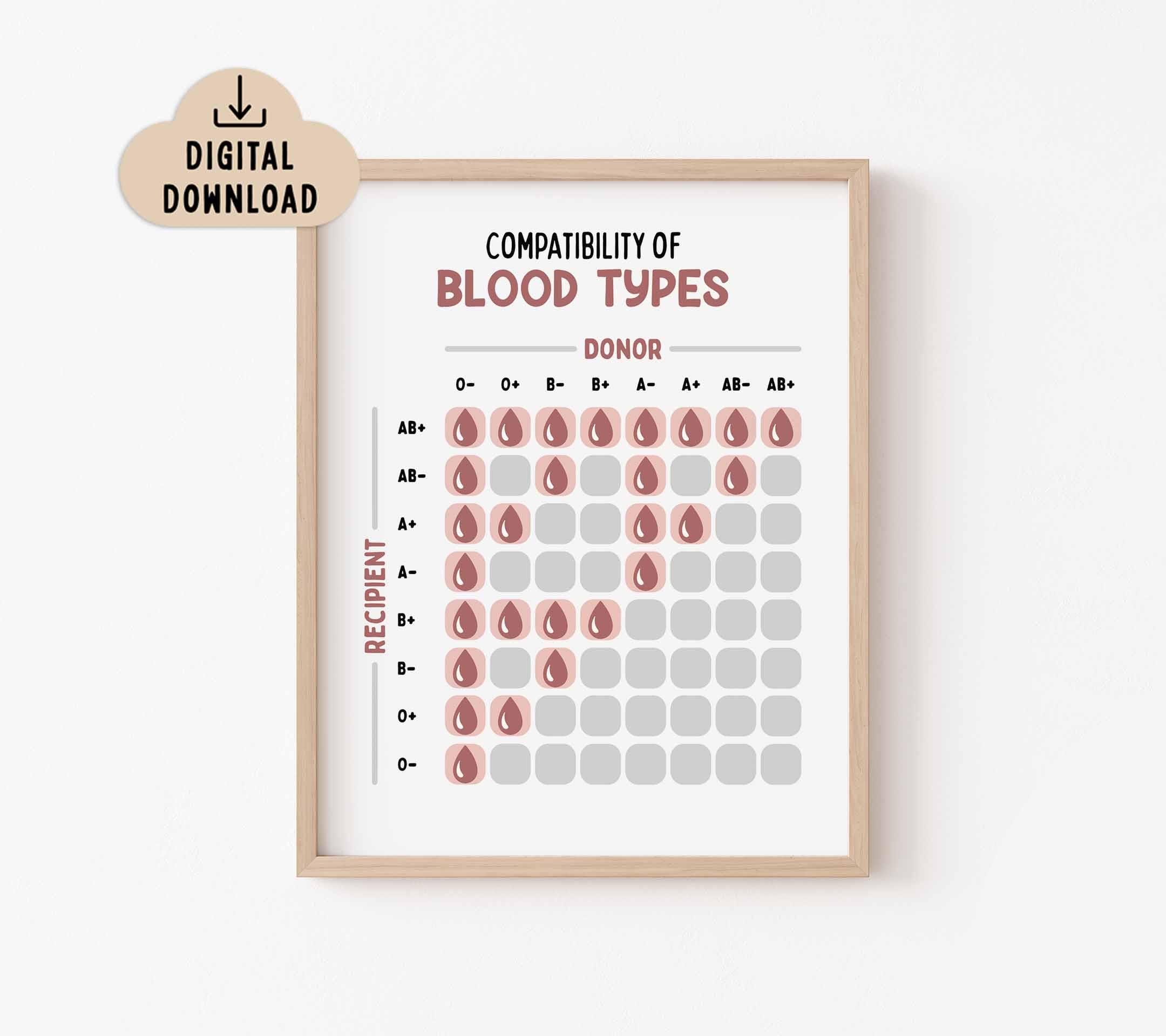 Blood Types Chart Printable Poster for Kids (digital Download ...
