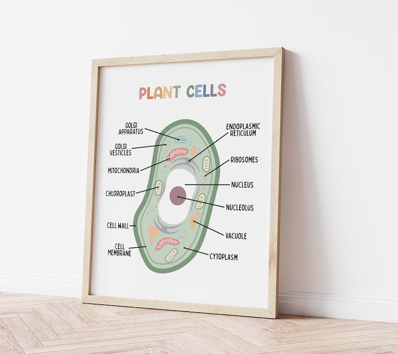 Plant Cells Poster (digital Download) Homeschool Wall Art, Science ...