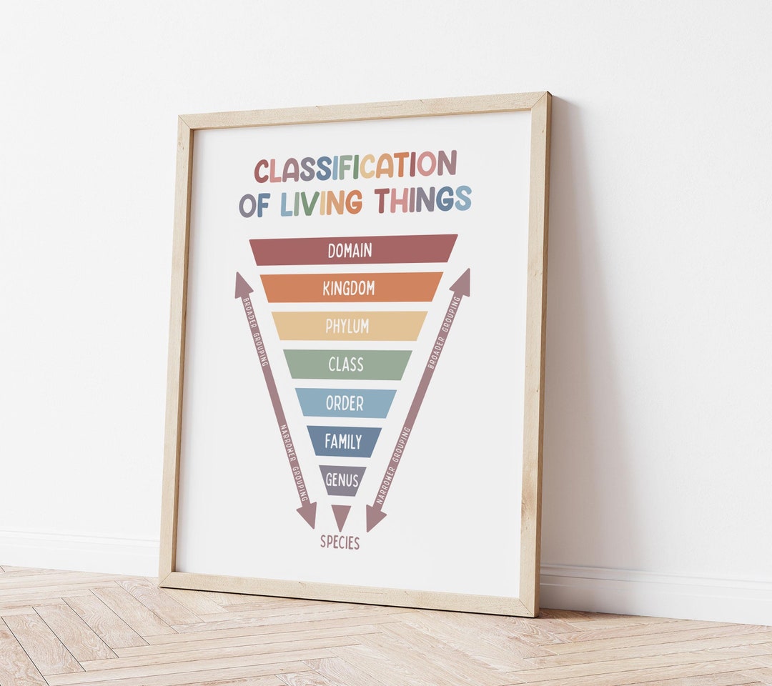 Classification of Living Things Chart Educational Poster | Homeschool ...