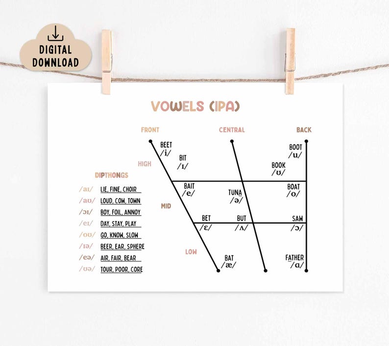 Vowels IPA Chart Printable, BOHO Colors, Language Linguistics Classroom ...