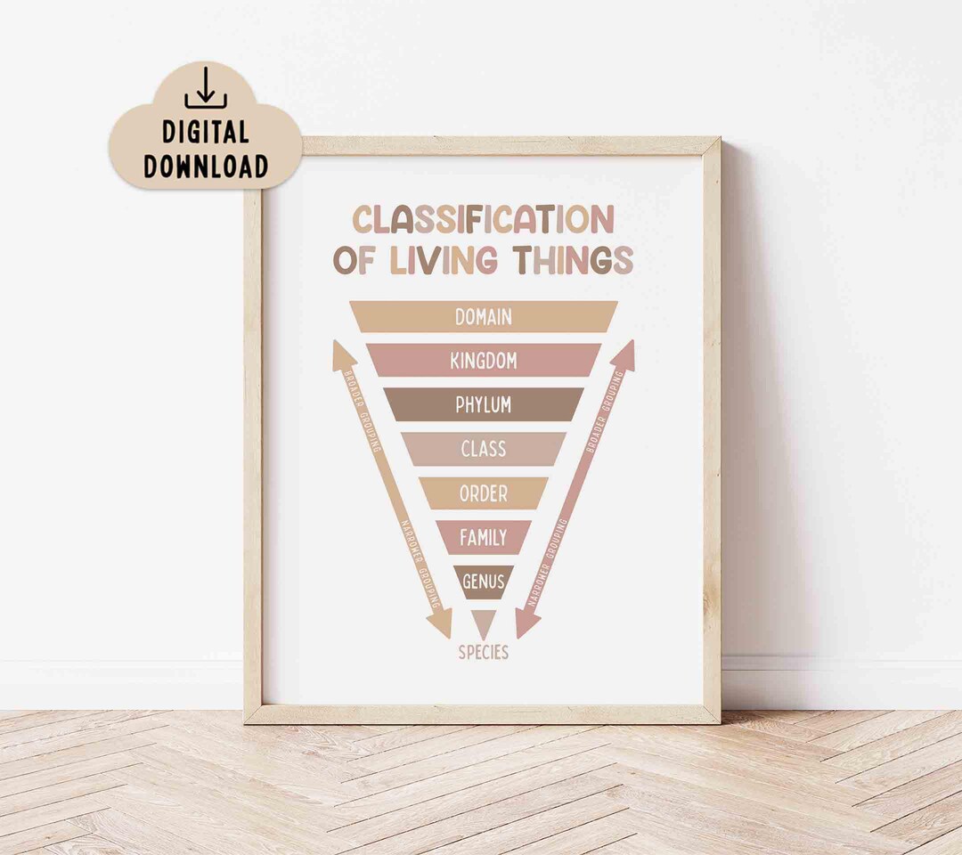 Classification of Living Things Chart BOHO (digital Download) Classroom ...