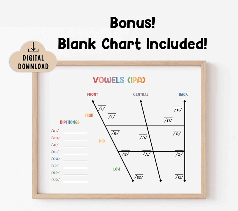 Vowels IPA Chart Printable, BRIGHT Colors, Language Linguistics ...