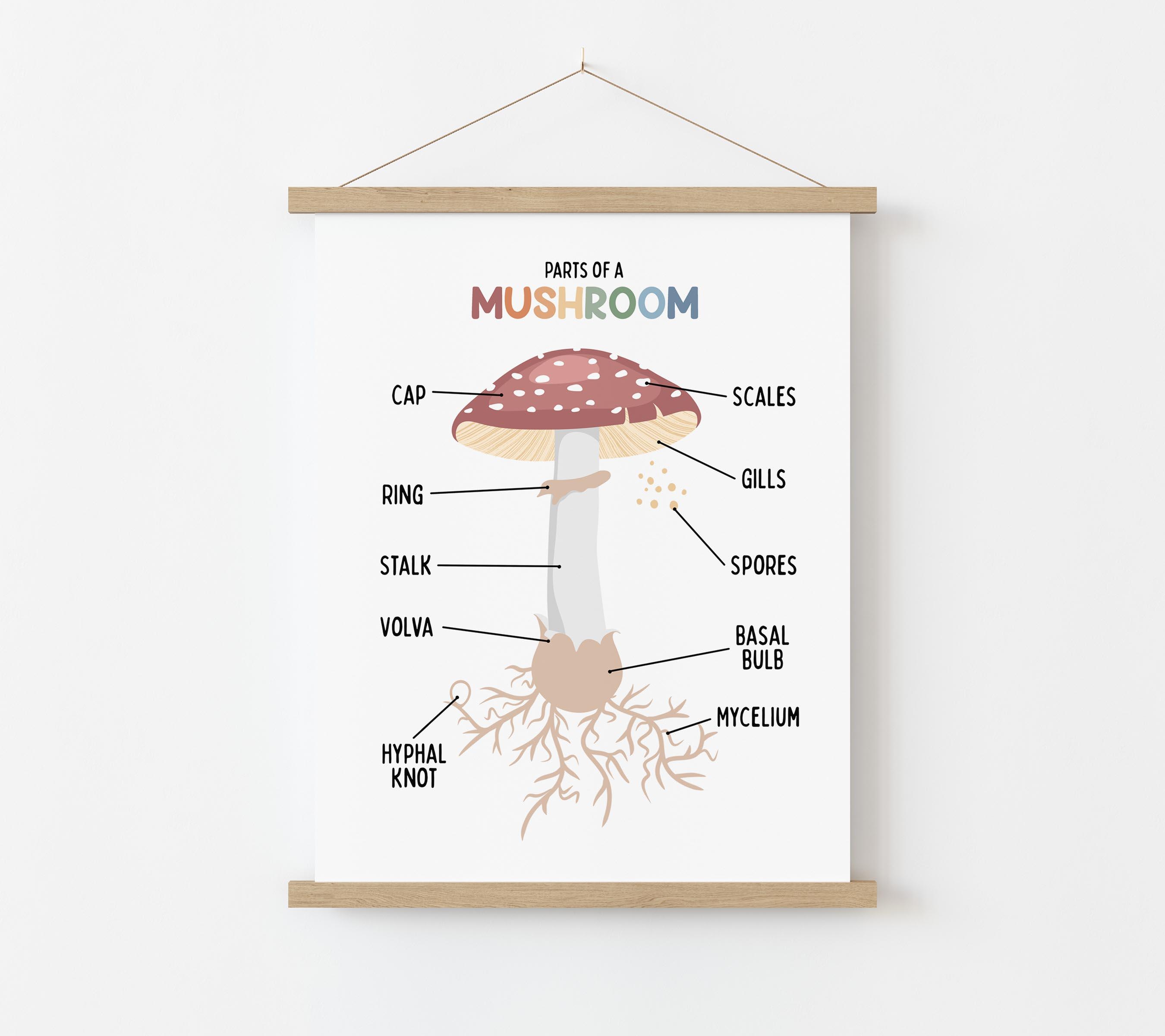 Parts of a Mushroom Poster for Kids (digital Download) Classroom Botany ...