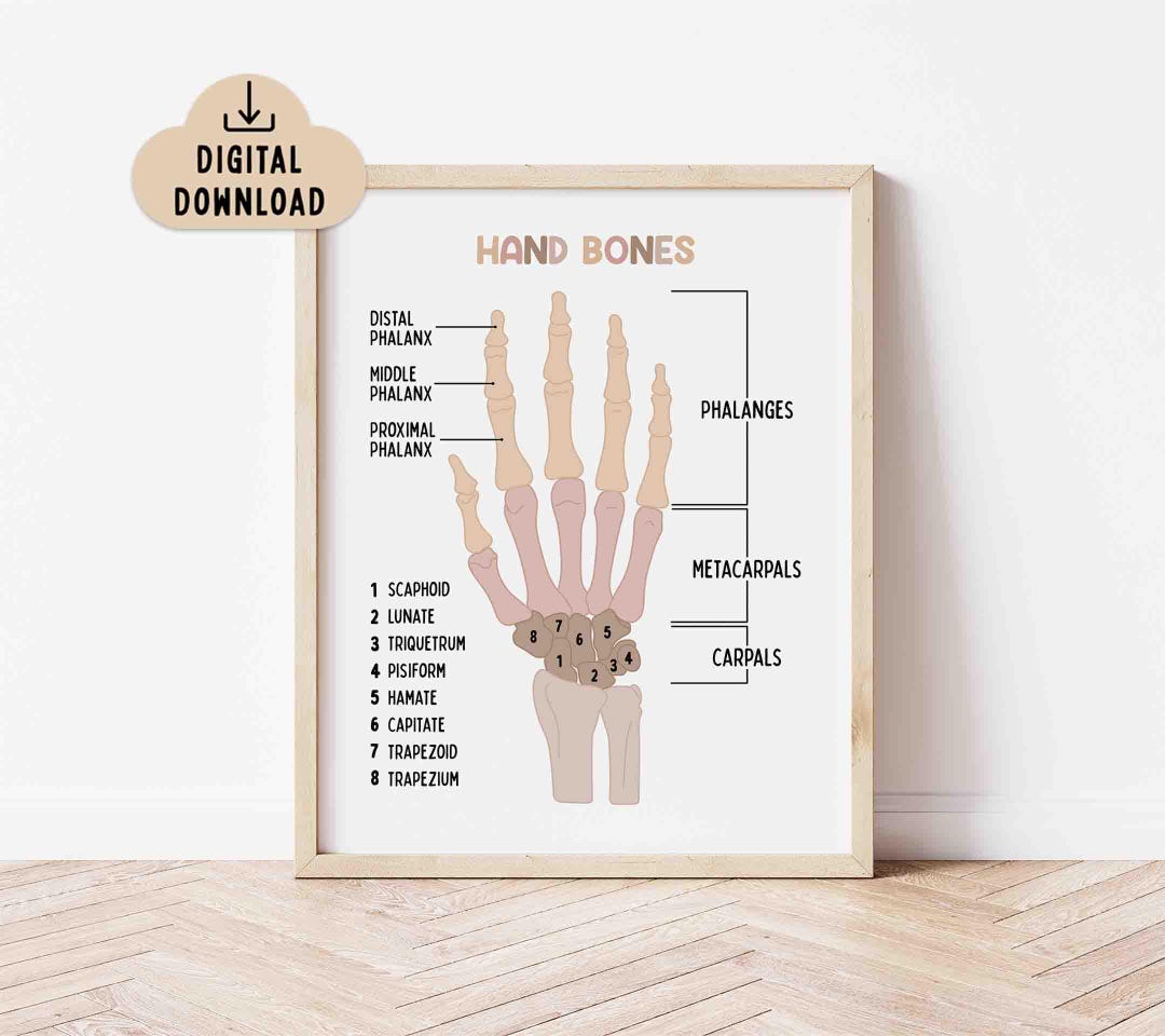 Hand Bones, Anatomy of the Hand Poster for Kids (digital Download) BOHO ...
