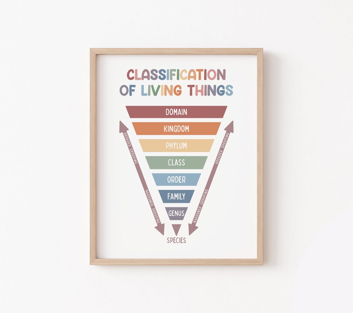 Classification of Living Things Chart (digital Download) Homeschool ...