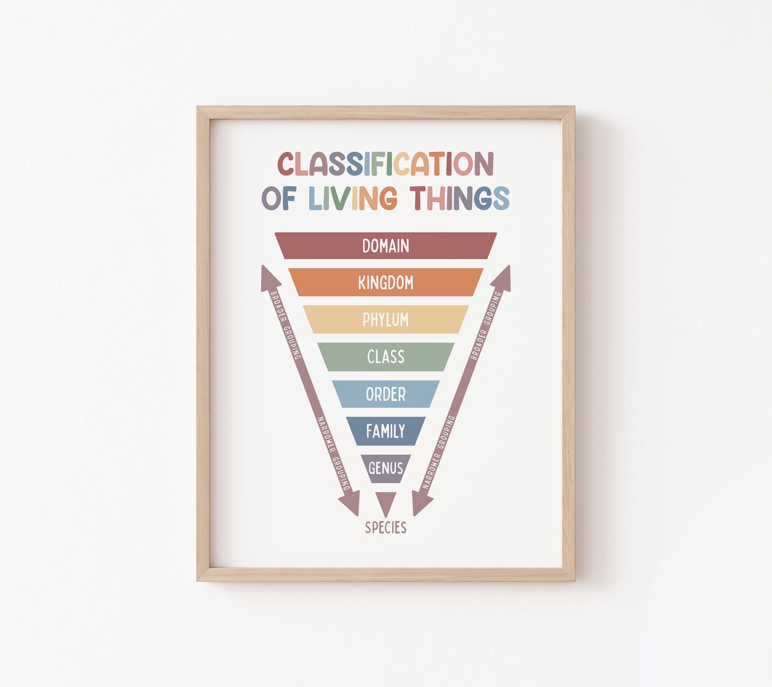 Classification of Living Things Chart Educational Poster | Homeschool ...