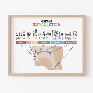 Consonant Articulation Poster Printable (digital Download) English ...