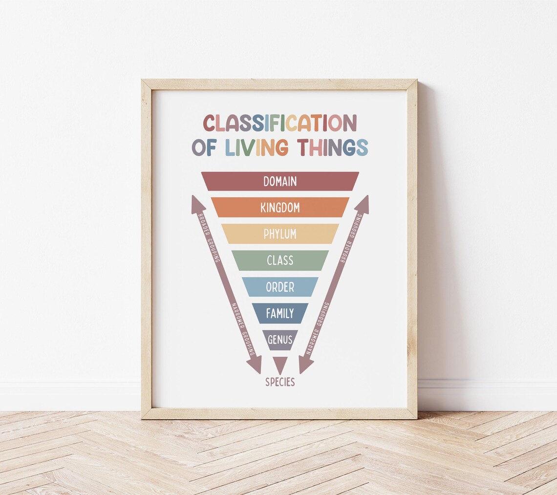 Classification of Living Things Chart Educational Poster | Homeschool ...