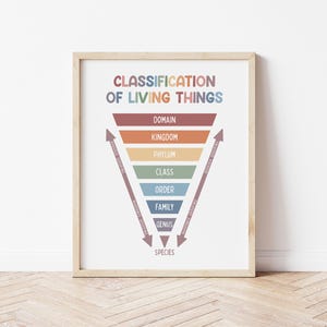 Classification of Living Things Chart Educational Poster | Homeschool ...