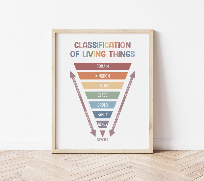 Classification of Living Things Chart Educational Poster | Homeschool ...