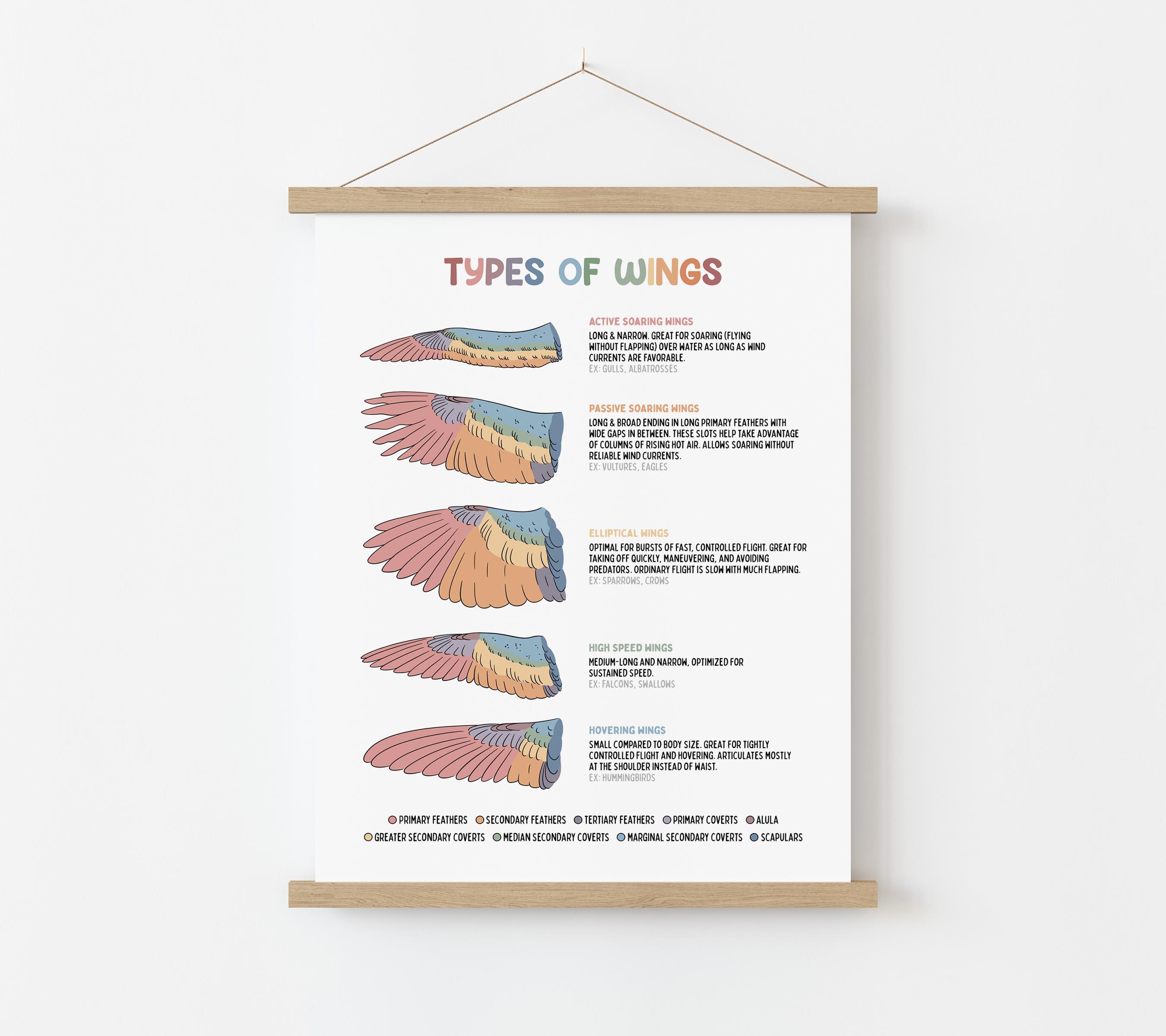 Types of Wings Poster for Kids | Homeschool Wall Art | Science ...