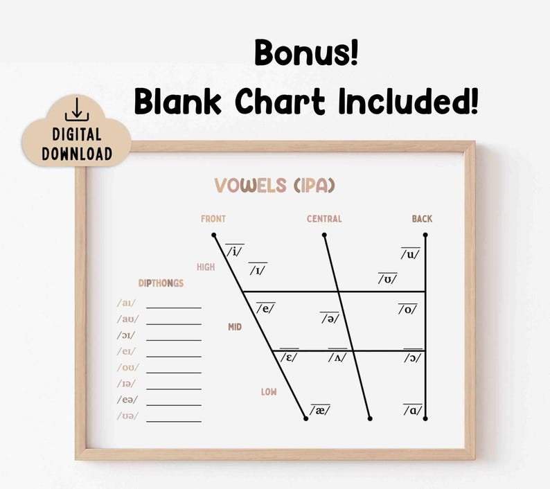 Vowels IPA Chart Printable, BOHO Colors, Language Linguistics Classroom ...