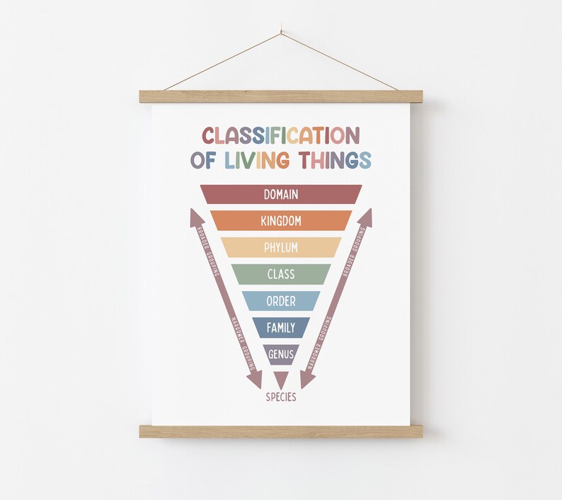 Classification of Living Things Chart (digital Download) Homeschool ...