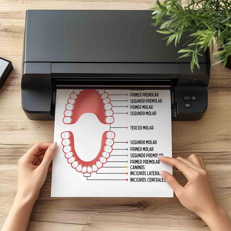 Human Teeth Printable Poster Spanish Language Version, BRIGHT (digital ...