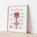 Male Reproductive System Poster | Homeschool Wall Art | Medical Print ...