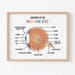 Anatomy of the Human Eye Poster for Kids | Classroom | Medical Print ...