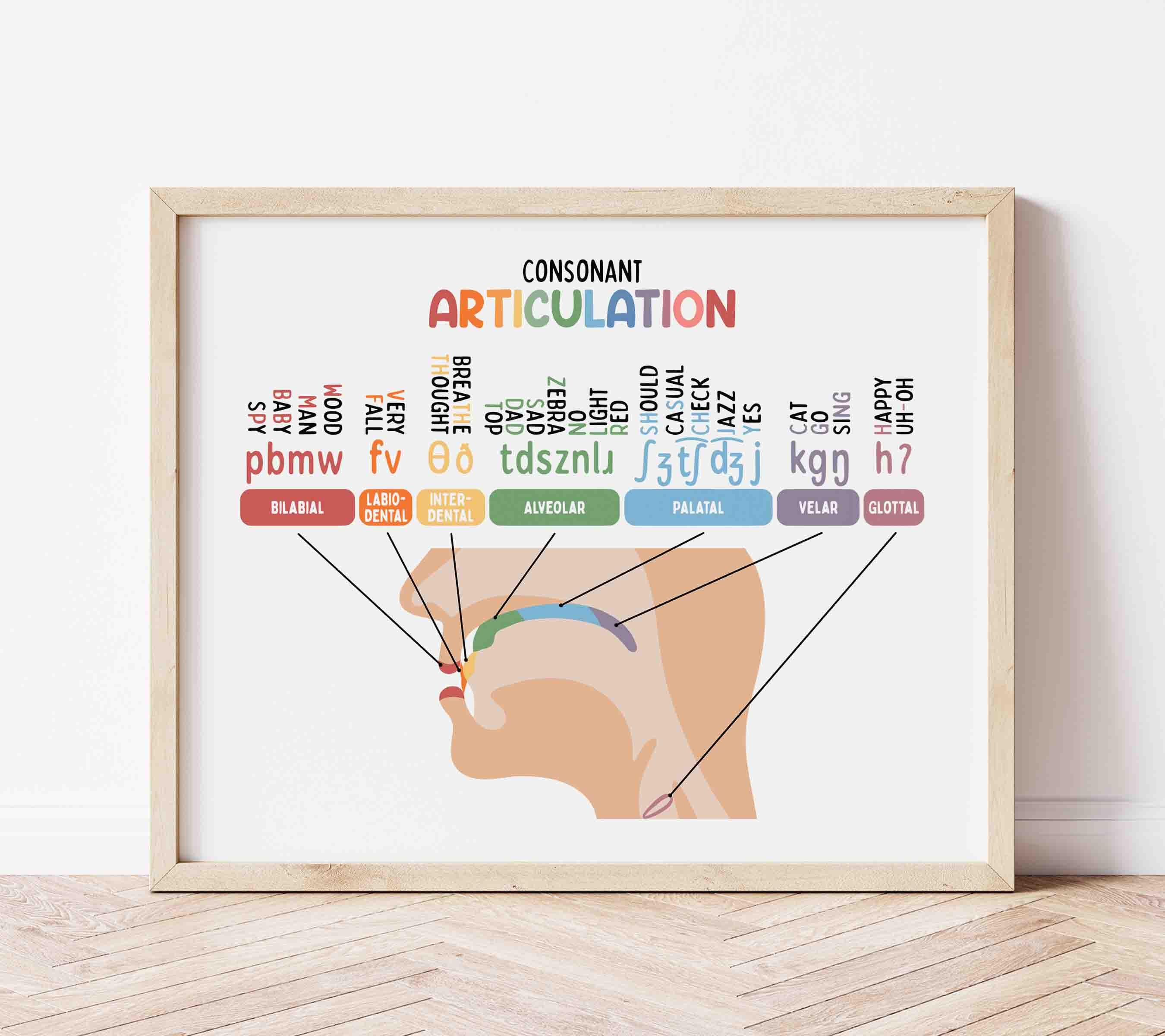 Consonant Articulation Poster Printable, BRIGHT Colors (digital ...