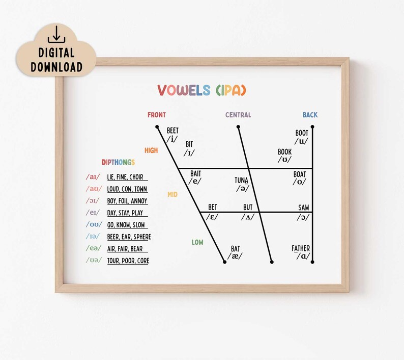 Vowels IPA Chart Printable, BRIGHT Colors, Language Linguistics ...