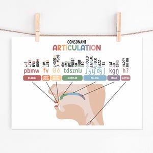 Consonant Articulation Poster Printable (digital Download) English ...