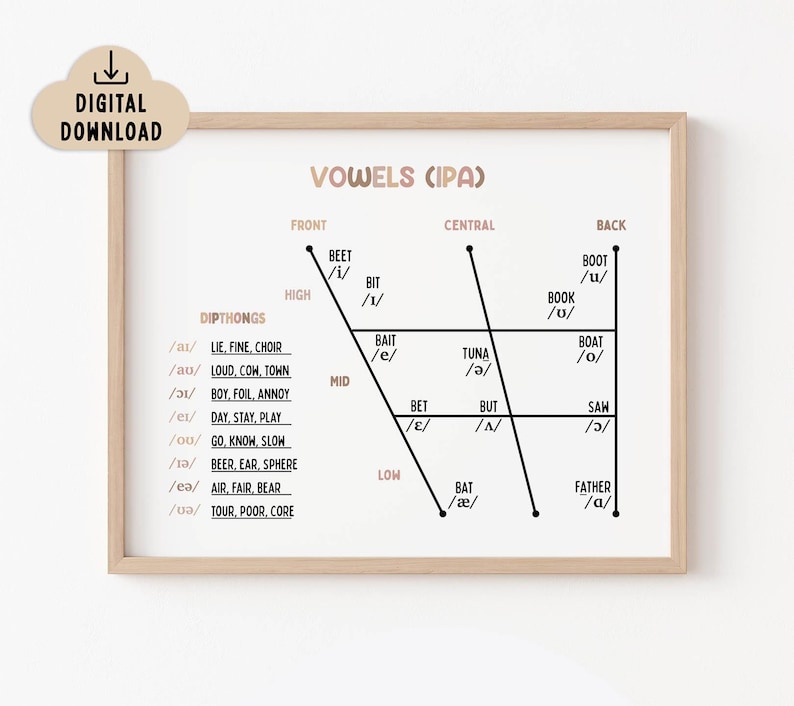 Vowels IPA Chart Printable, BOHO Colors, Language Linguistics Classroom ...