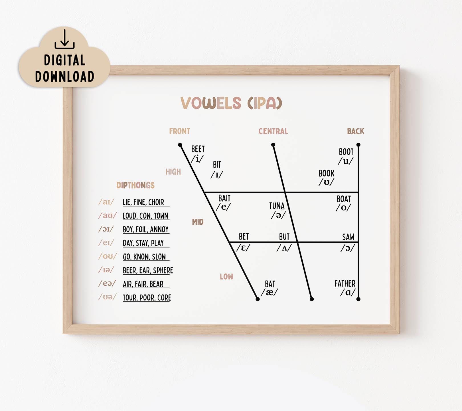 Vowels IPA Chart Printable, BOHO Colors, Language Linguistics Classroom ...