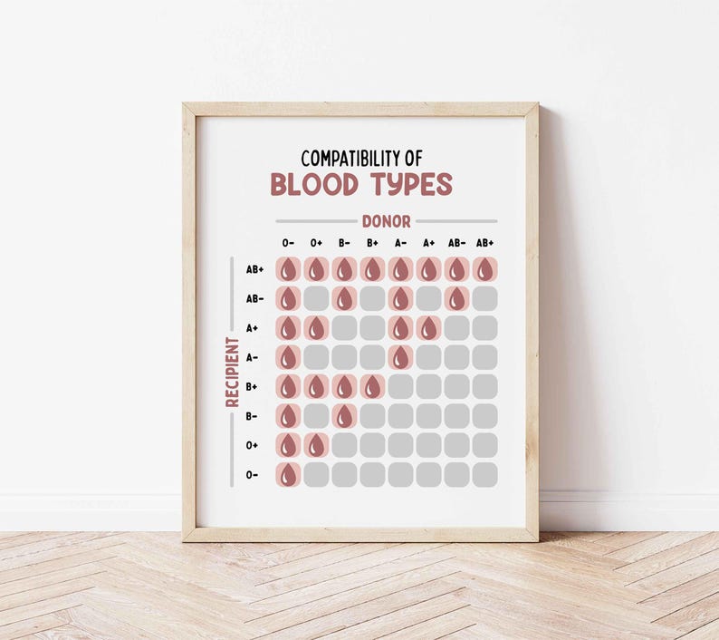 Blood Types Chart Poster | Classroom | Medical Print | Educational Wall ...