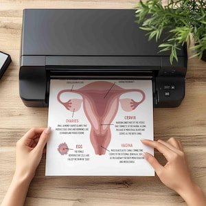 Female Reproductive System Poster | Homeschool Wall Art | Medical Print ...