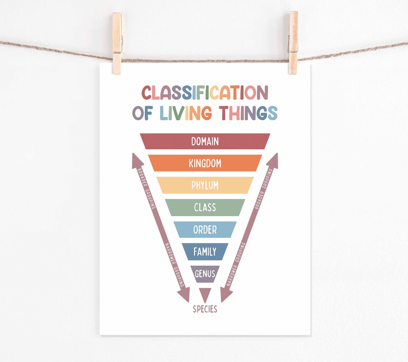 Classification of Living Things Chart (digital Download) Homeschool ...