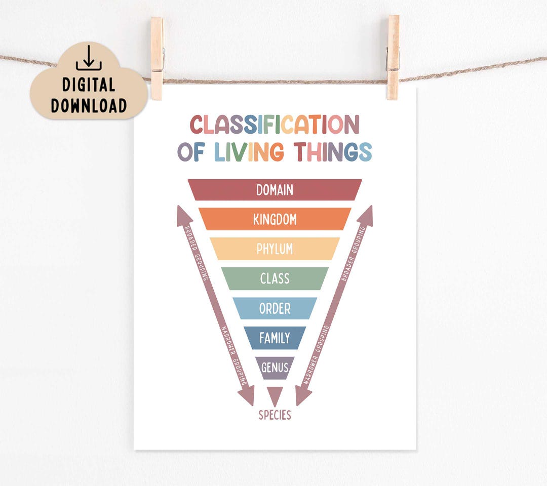 Classification of Living Things Chart (digital Download) Classroom ...