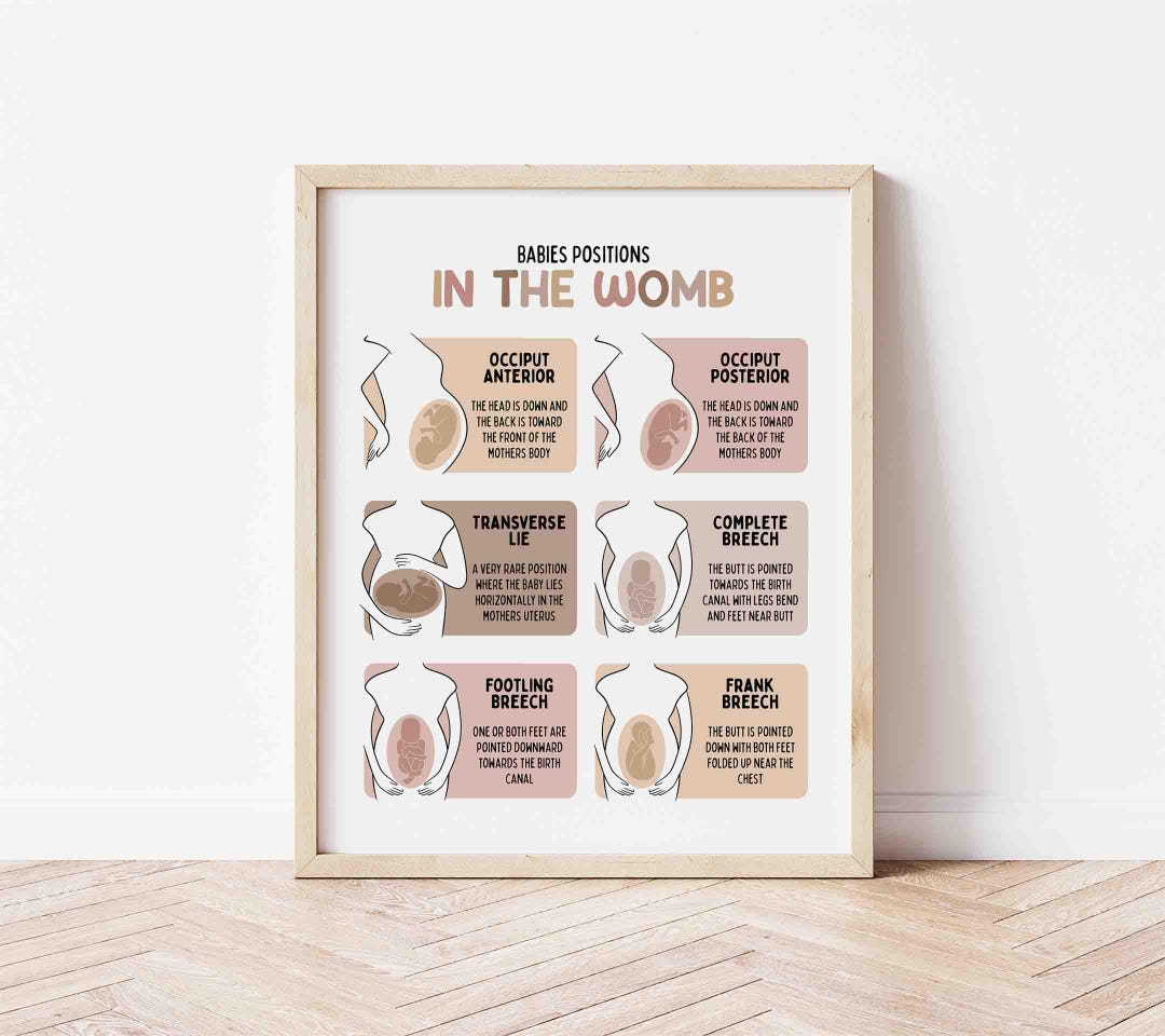 Baby Positions in the Womb Poster BOHO (digital Download), Biology ...
