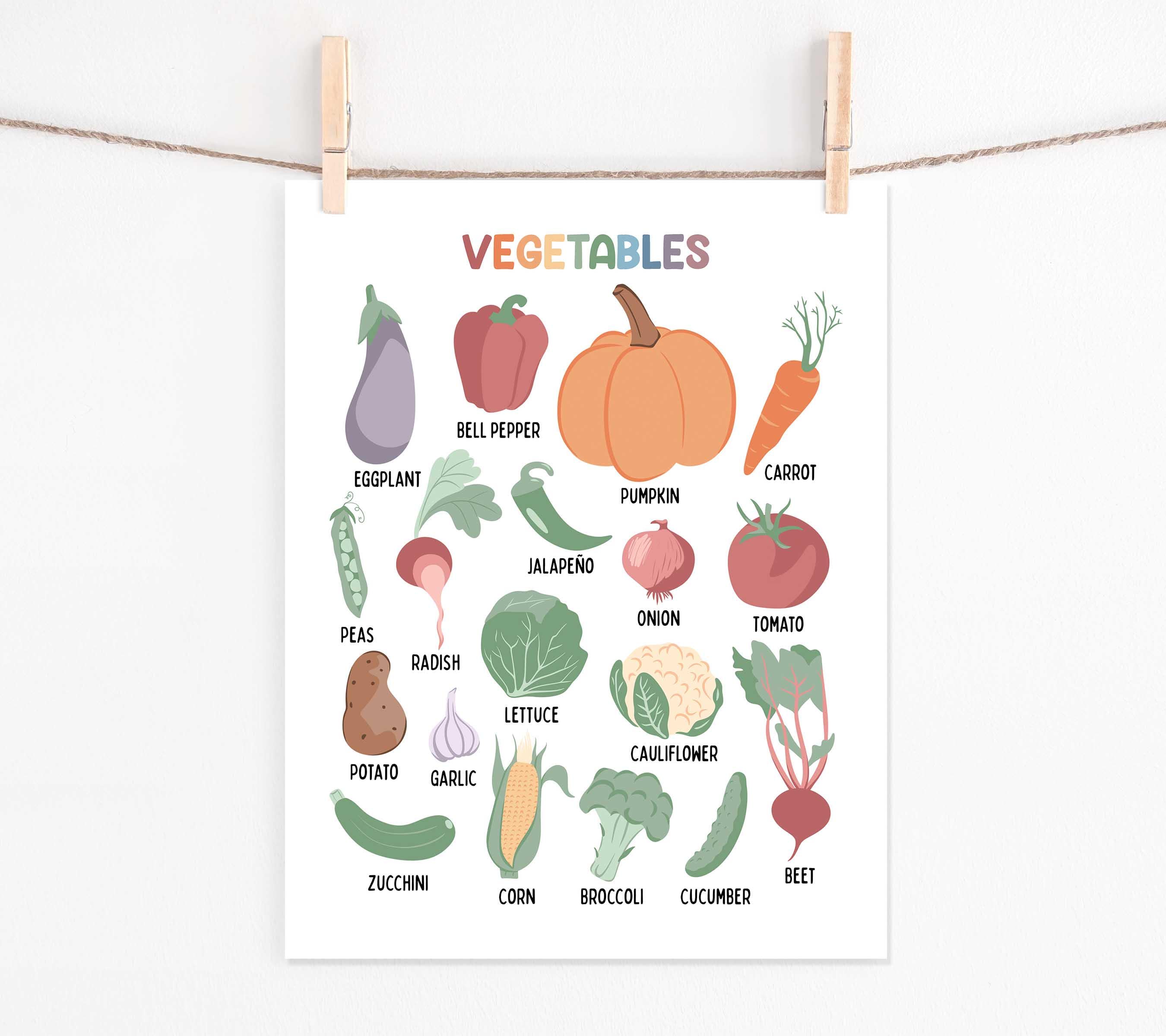 Fruits and Vegetables Posters Set of 4, Identifying Help, Kids Identification Printable, Botany ...