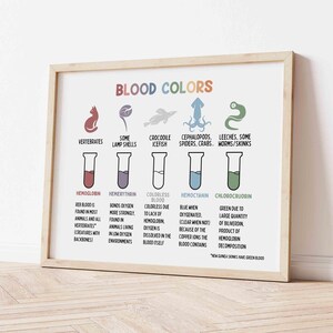Blood Colors Poster | Classroom | Medical Print | Educational Wall Art ...