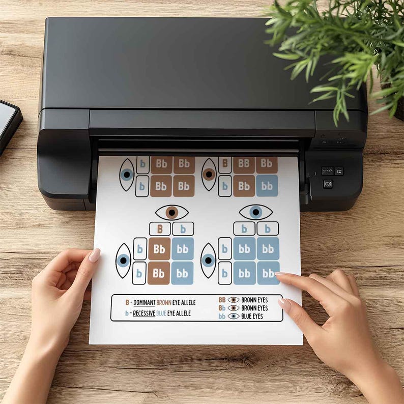 Punnett Square, Eye Color Genetics Illustration Poster for Kids ...