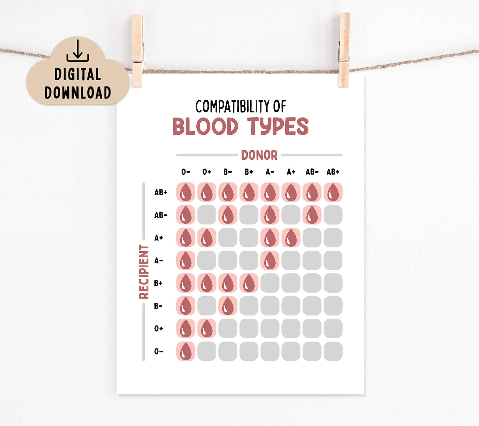 Blood Types Chart Printable Poster for Kids (digital Download ...