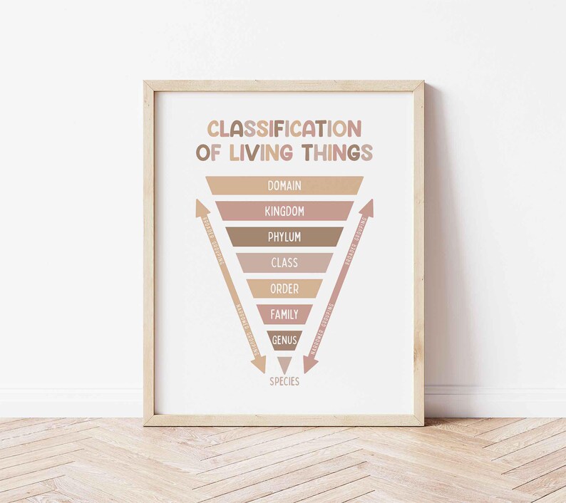 Classification of Living Things Chart, BOHO Colors (digital Download ...