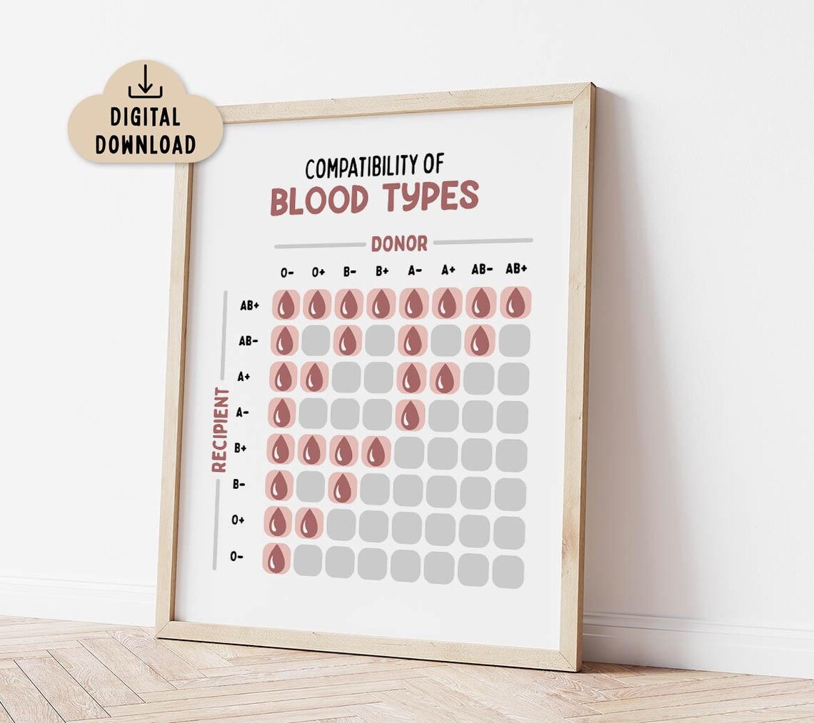 Blood Types Chart Printable Poster for Kids (digital Download ...
