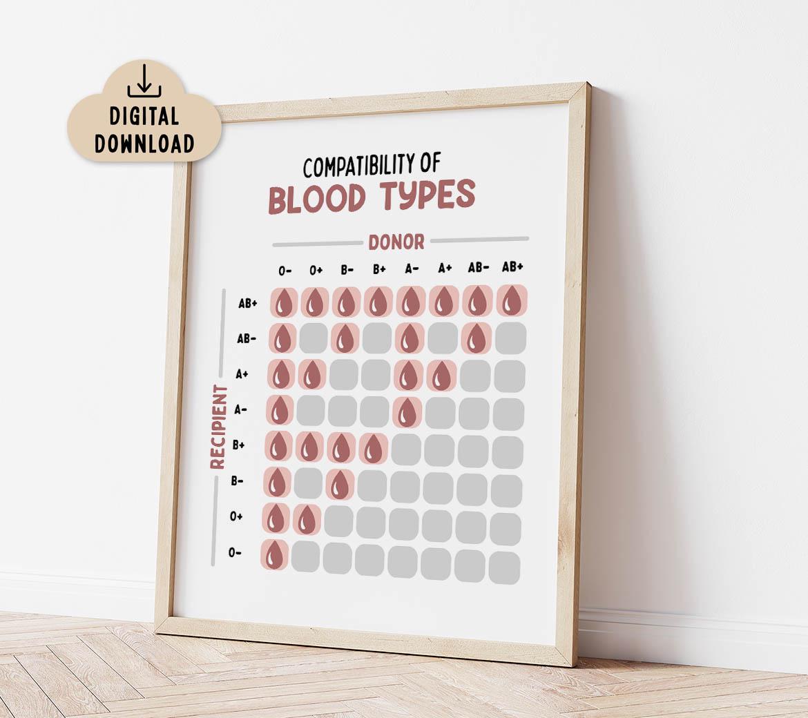 Blood Types Chart Printable Poster for Kids (digital Download ...