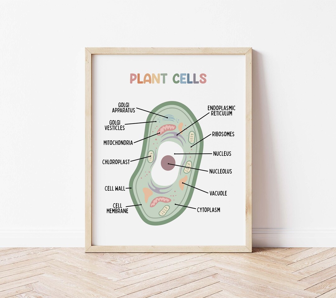 Plant Cells Poster (digital Download) Homeschool Wall Art, Science ...