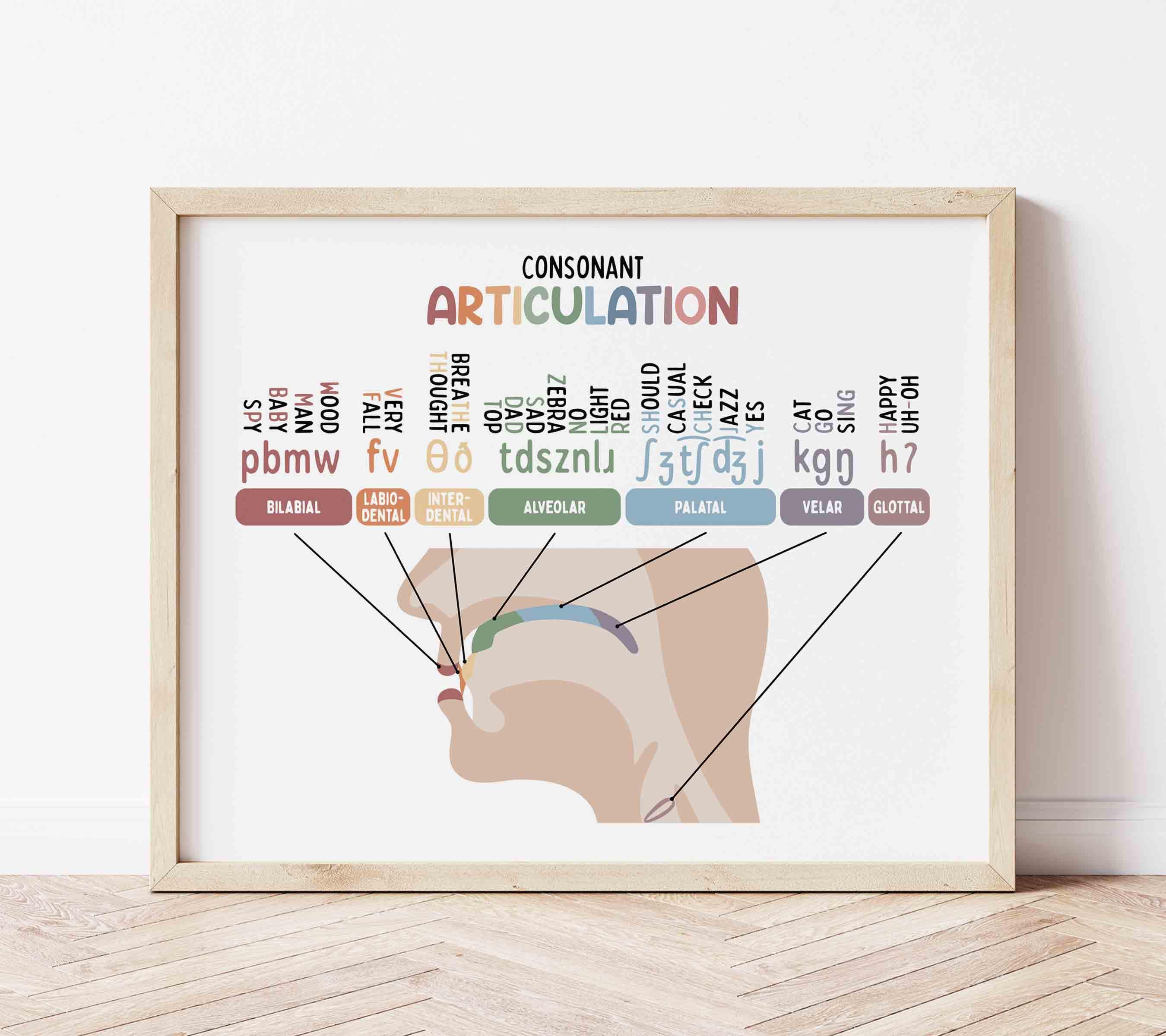 Consonant Articulation Poster Printable (digital Download) English ...