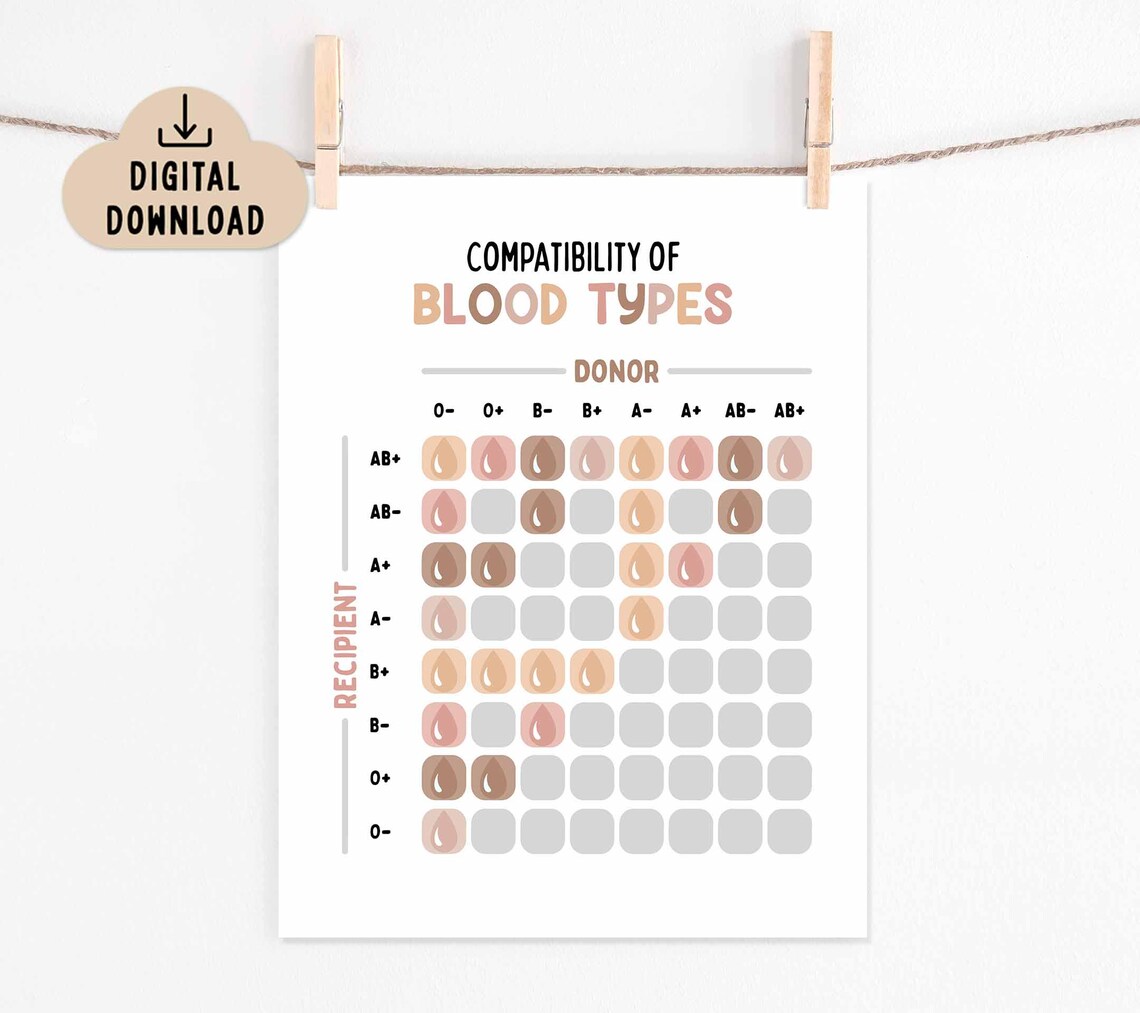 Blood Types Chart Printable Poster for Kids, BOHO Colors (digital ...