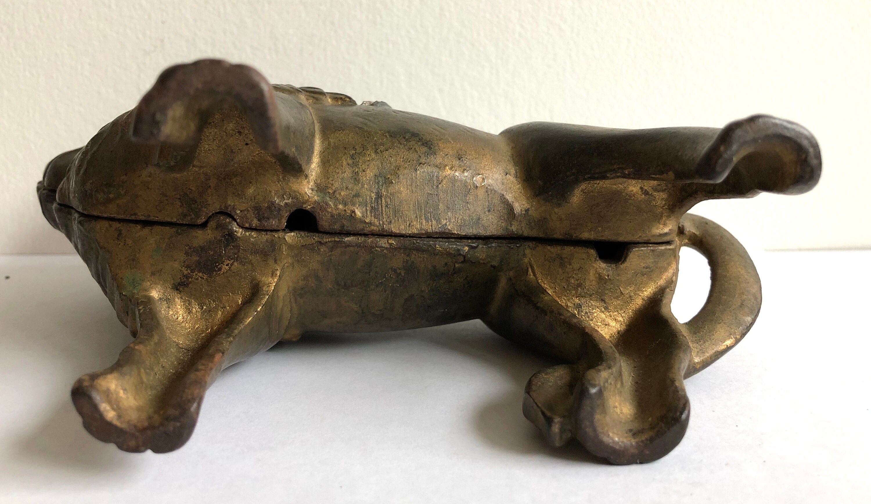 SCARCE C. 1905-1931 A.C. Williams lion Tail Right - Etsy