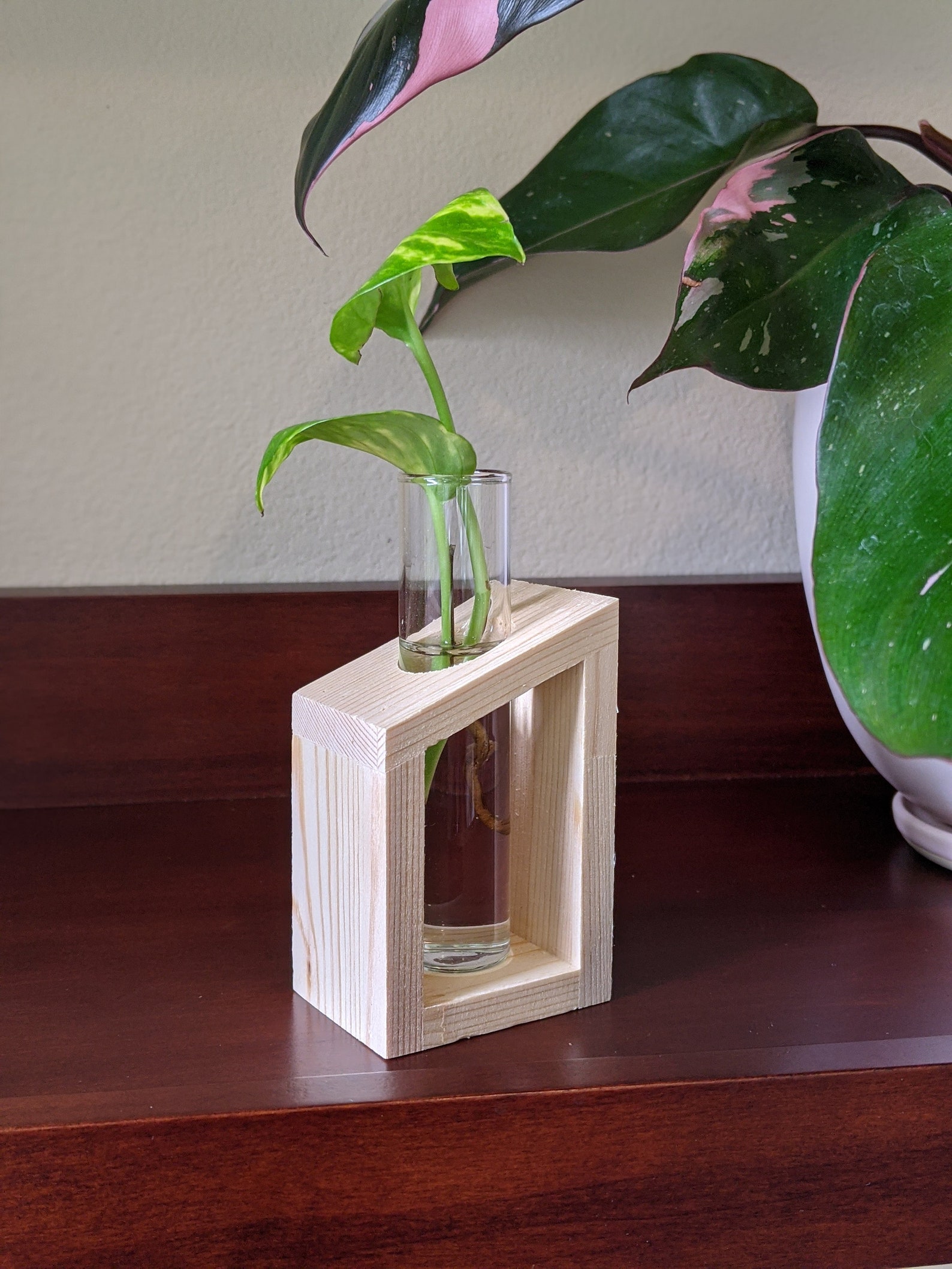 Trapezoid Shaped Tube Plant Stand Propagation Station Glass - Etsy